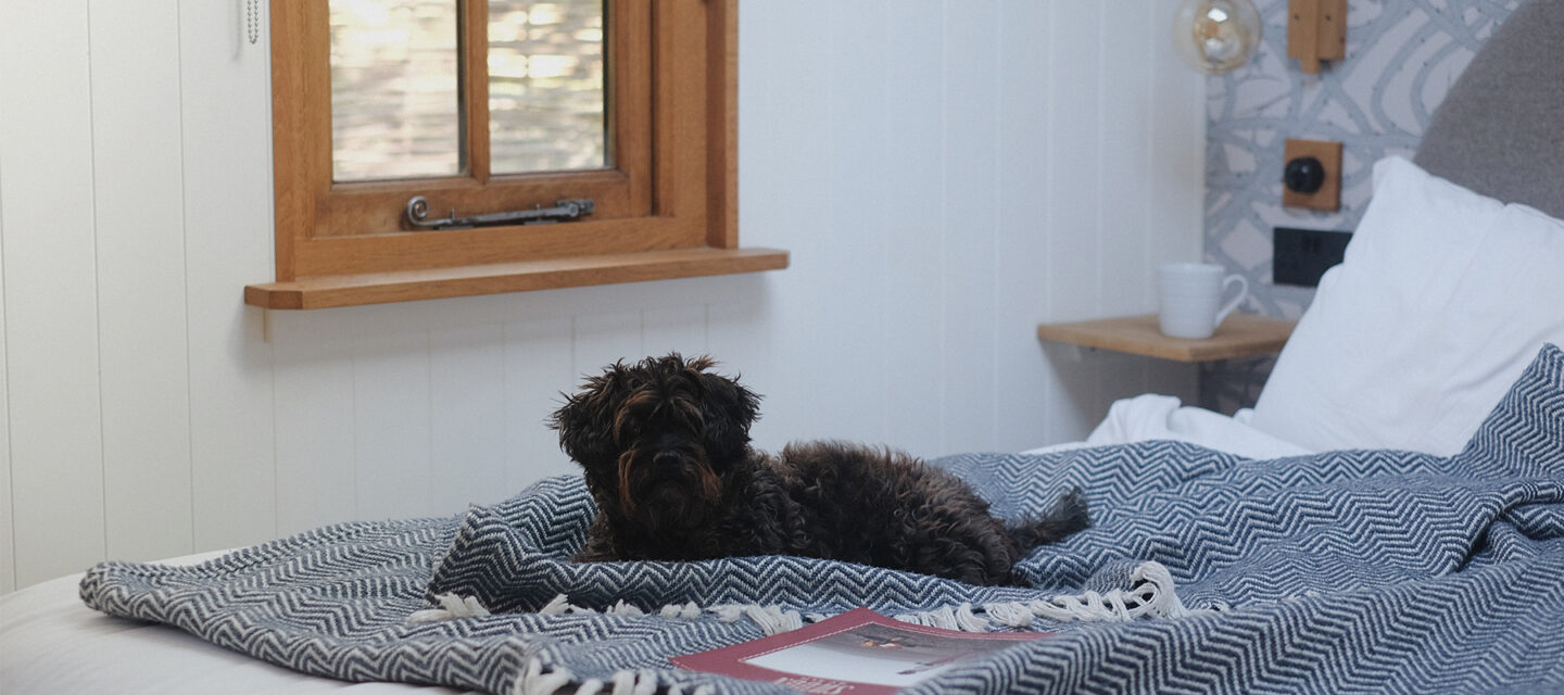 Off-the-beaten-track: highlights of Bhutan - Swoon by SLH