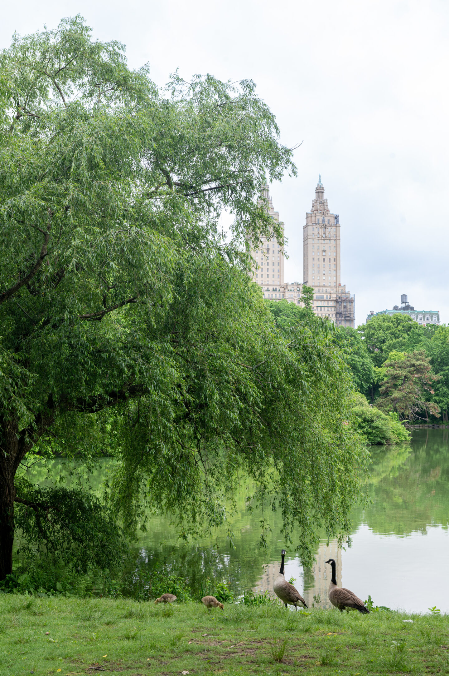 The ultimate New York city guide - Swoon by SLH